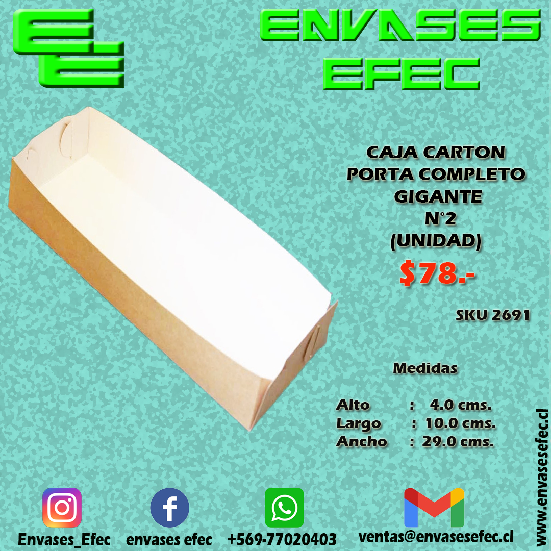 caja-carton-porta-completo-gigante-n-2-unidad-envases-efec